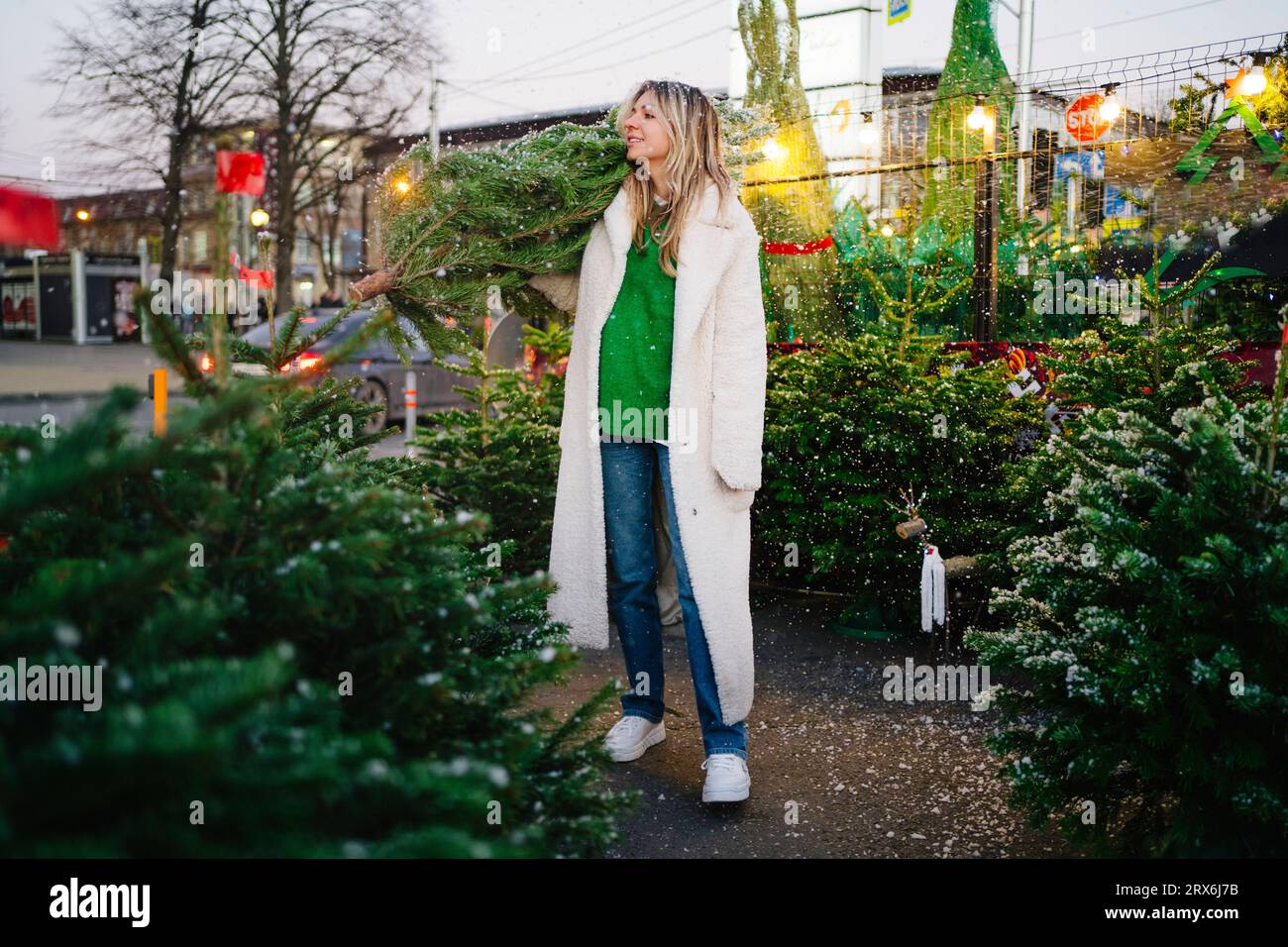 Woman carrying christmas tree away hi-res stock photography and images ...
