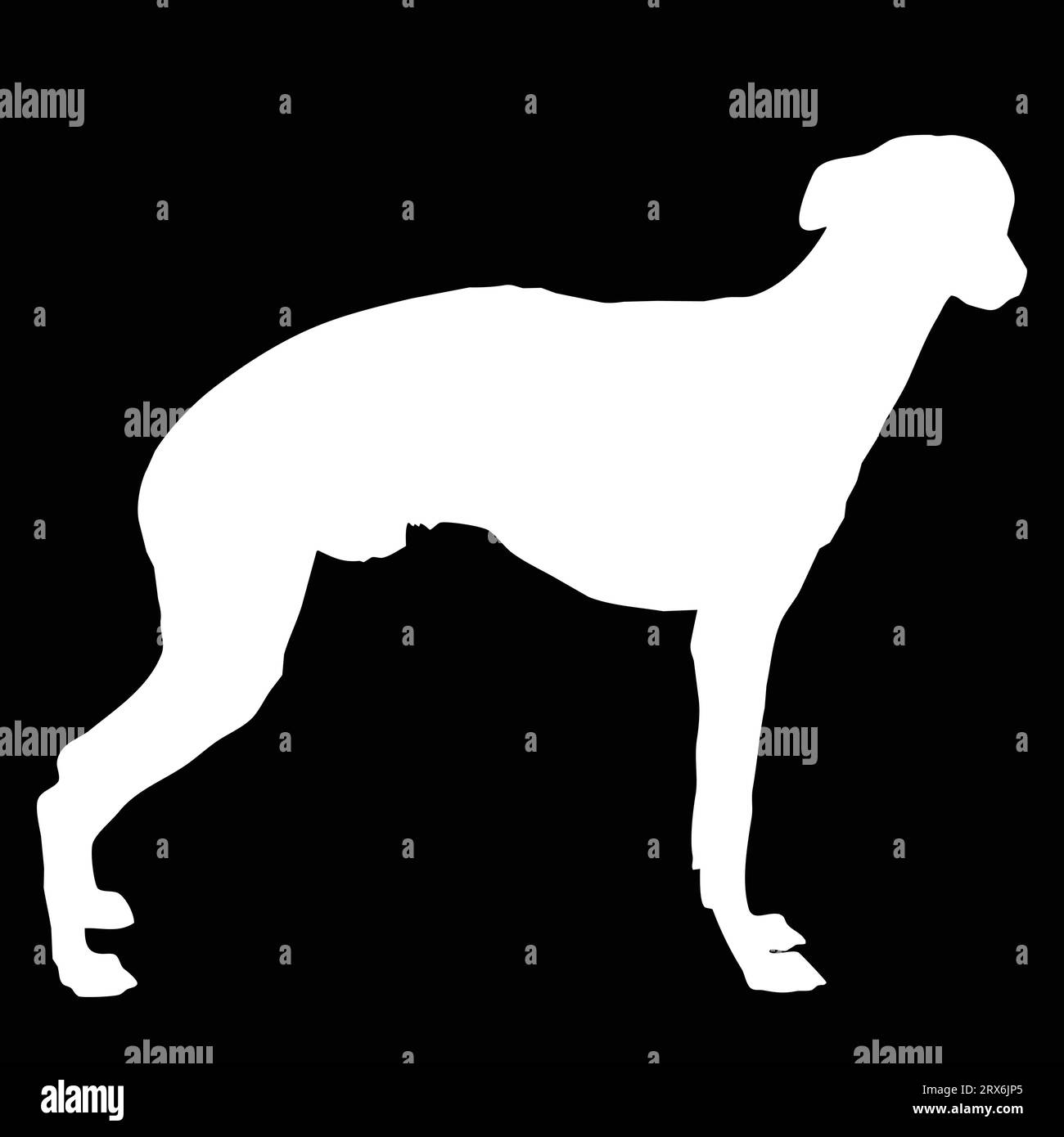 Dog shape vector illustration. White dog silhouette over black ...