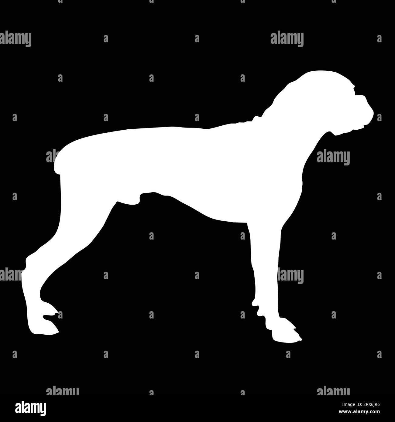 Dog shape vector illustration. White dog silhouette over black ...