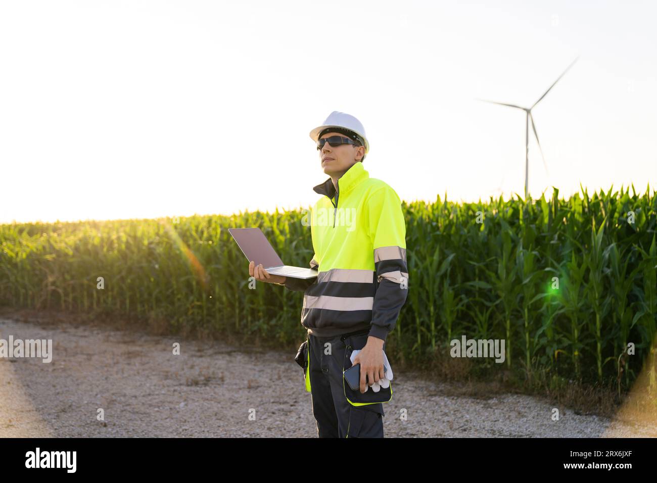 Engineer holding laptop in front of field with wind turbine Stock Photo ...