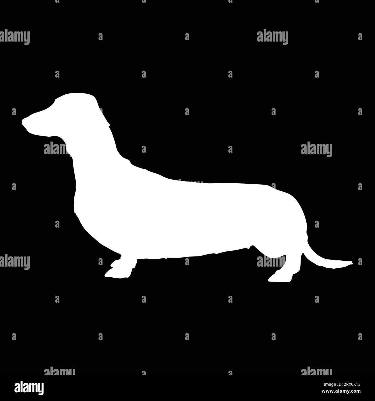 Dog shape vector illustration. White dog silhouette over black ...