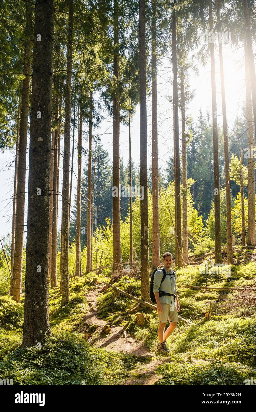 Trees walking hiking hi-res stock photography and images - Alamy