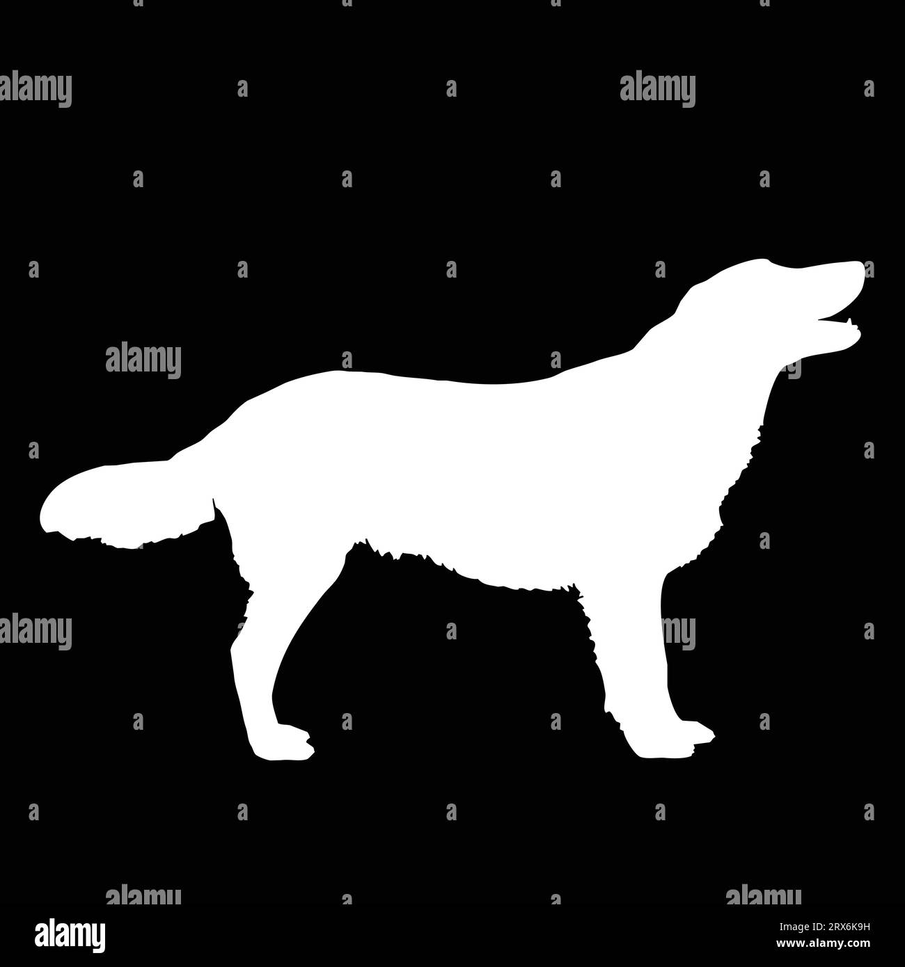 Dog shape vector illustration. White dog silhouette over black ...