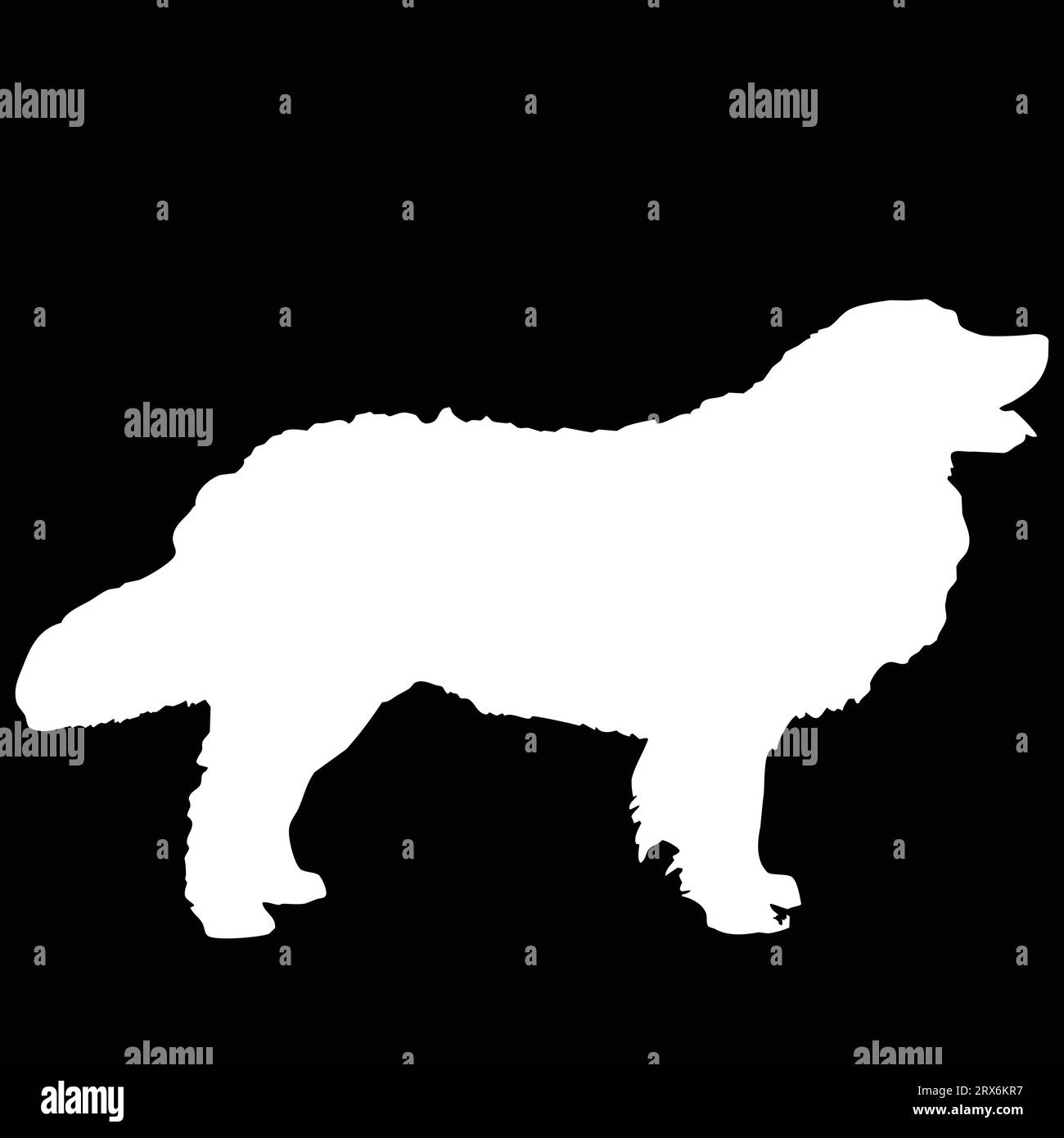 Dog shape vector illustration. White dog silhouette over black ...