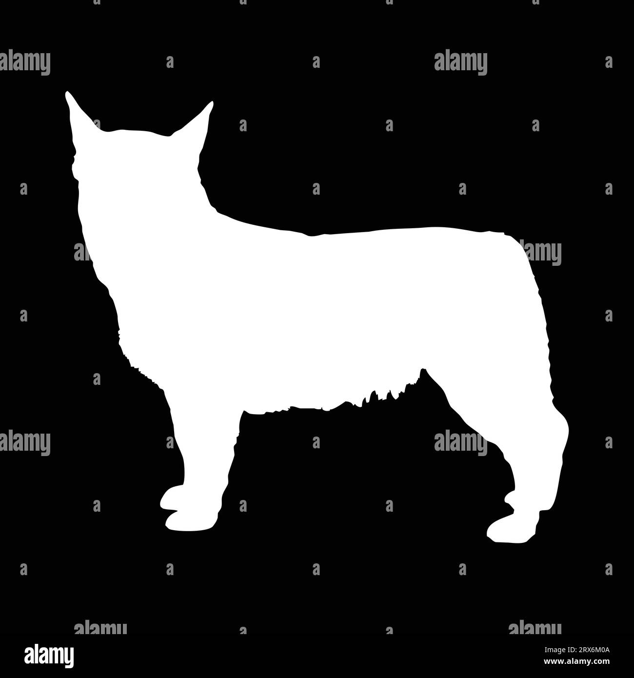 Dog shape vector illustration. White dog silhouette over black ...