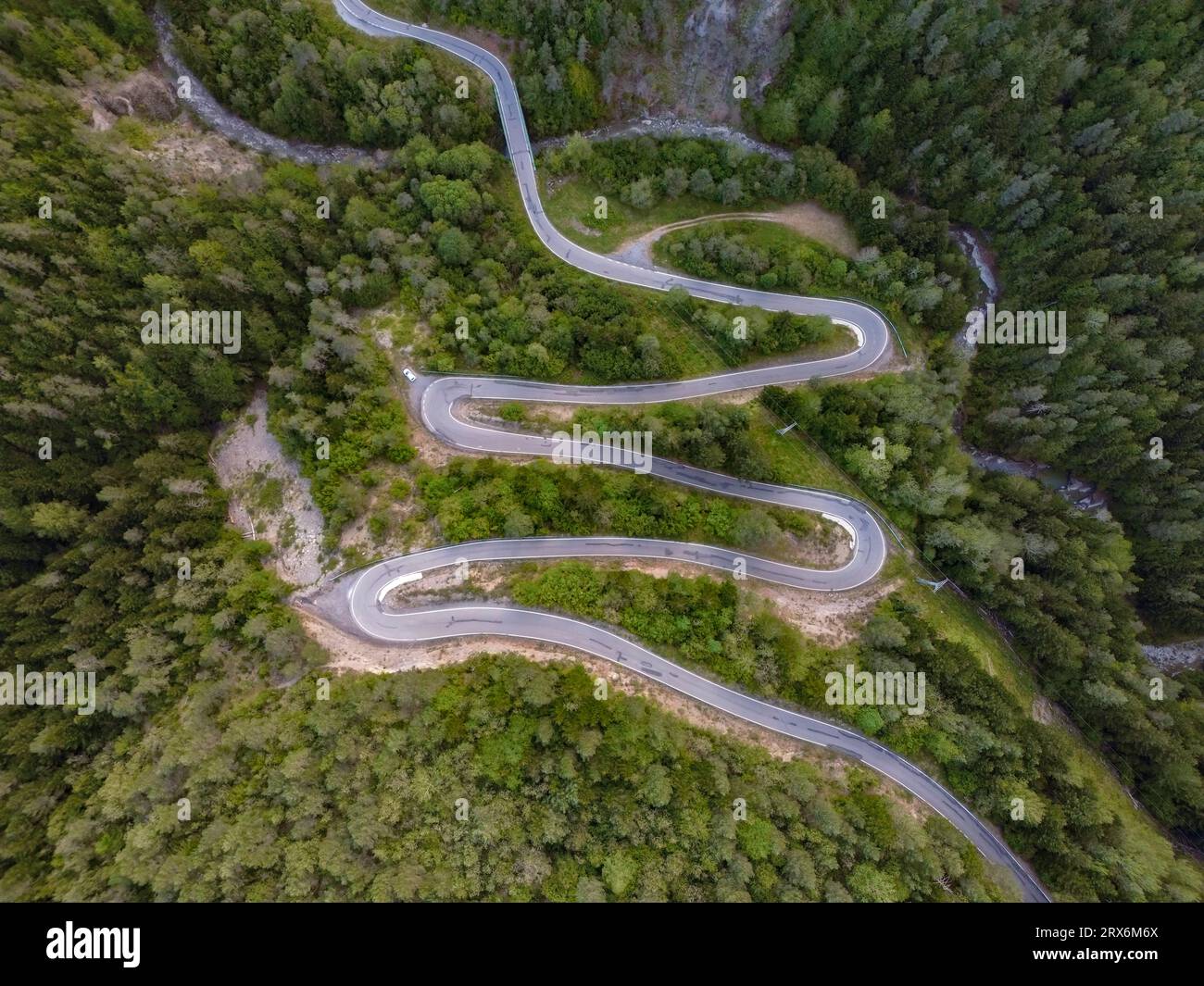 Winding road trees hi-res stock photography and images - Alamy