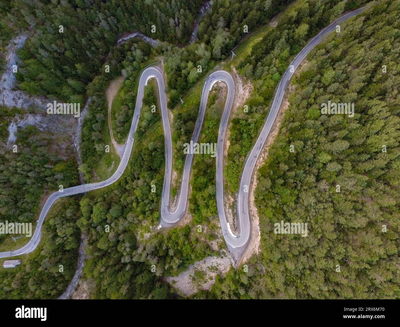 Winding road trees hi-res stock photography and images - Alamy