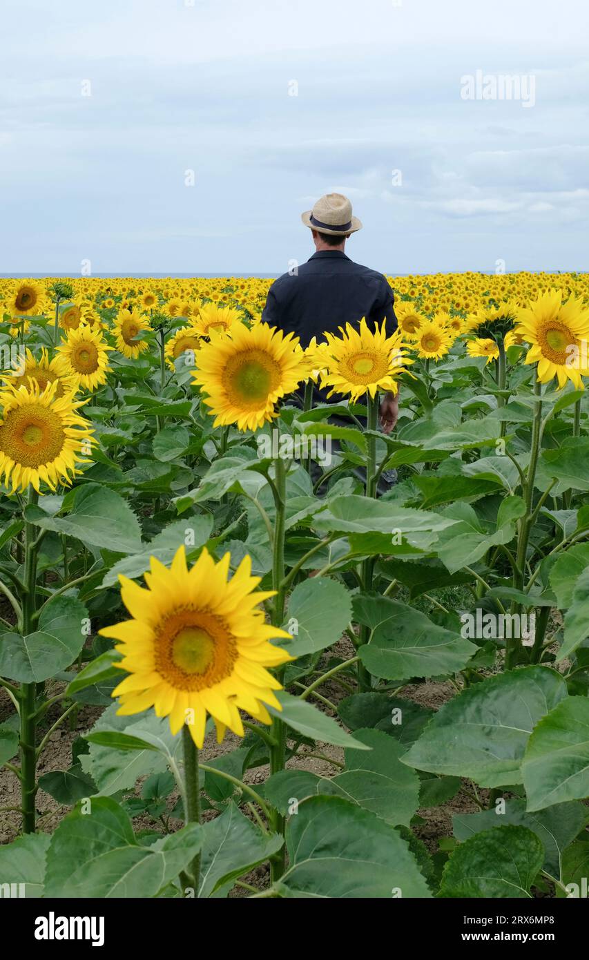 Man wearing sunflowers hi-res stock photography and images - Alamy