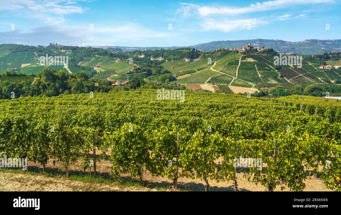 Langhe vineyards landscape and Castiglione Falletto village on the top ...