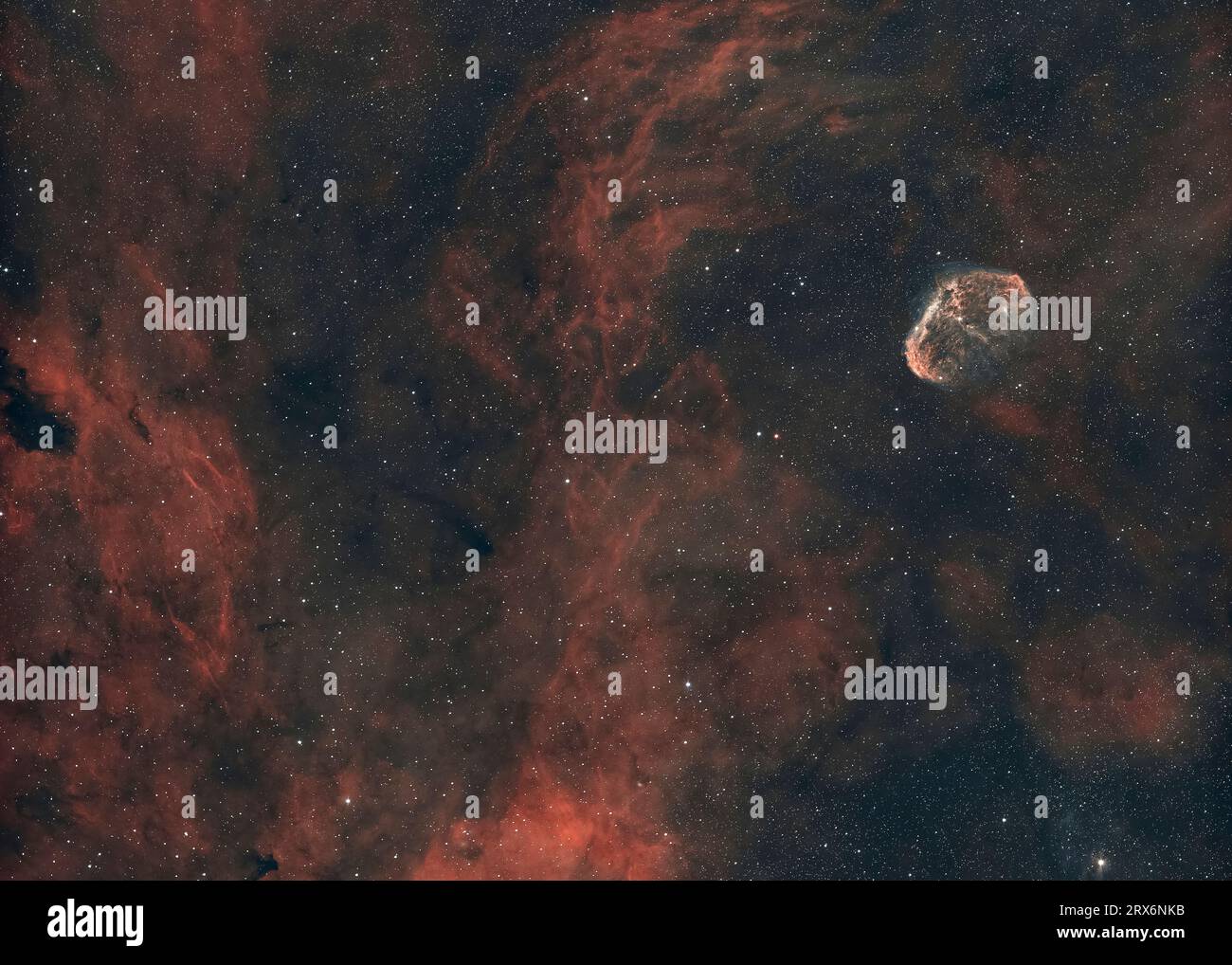 Crescent Nebula (Caldwell 27) in constellation Cygnus Stock Photo - Alamy