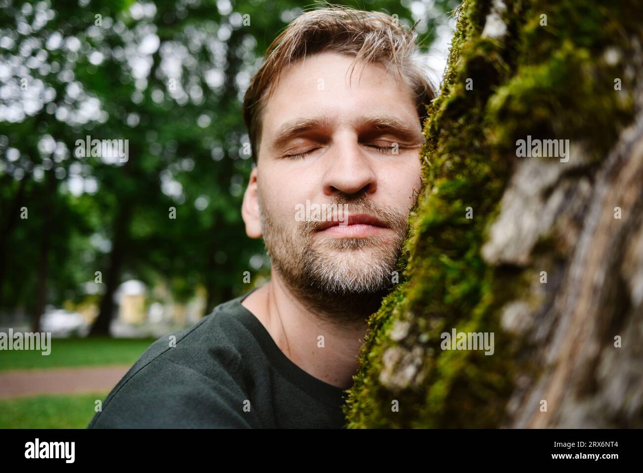 The leaning tree trunk hi-res stock photography and images - Alamy