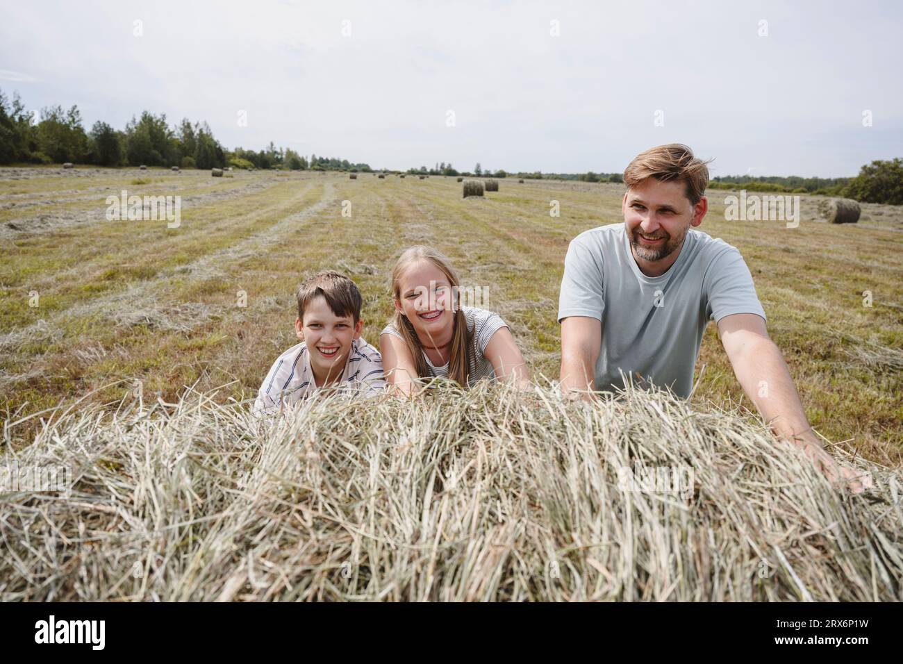 Happy father and children pushing and playing with hay in field Stock ...