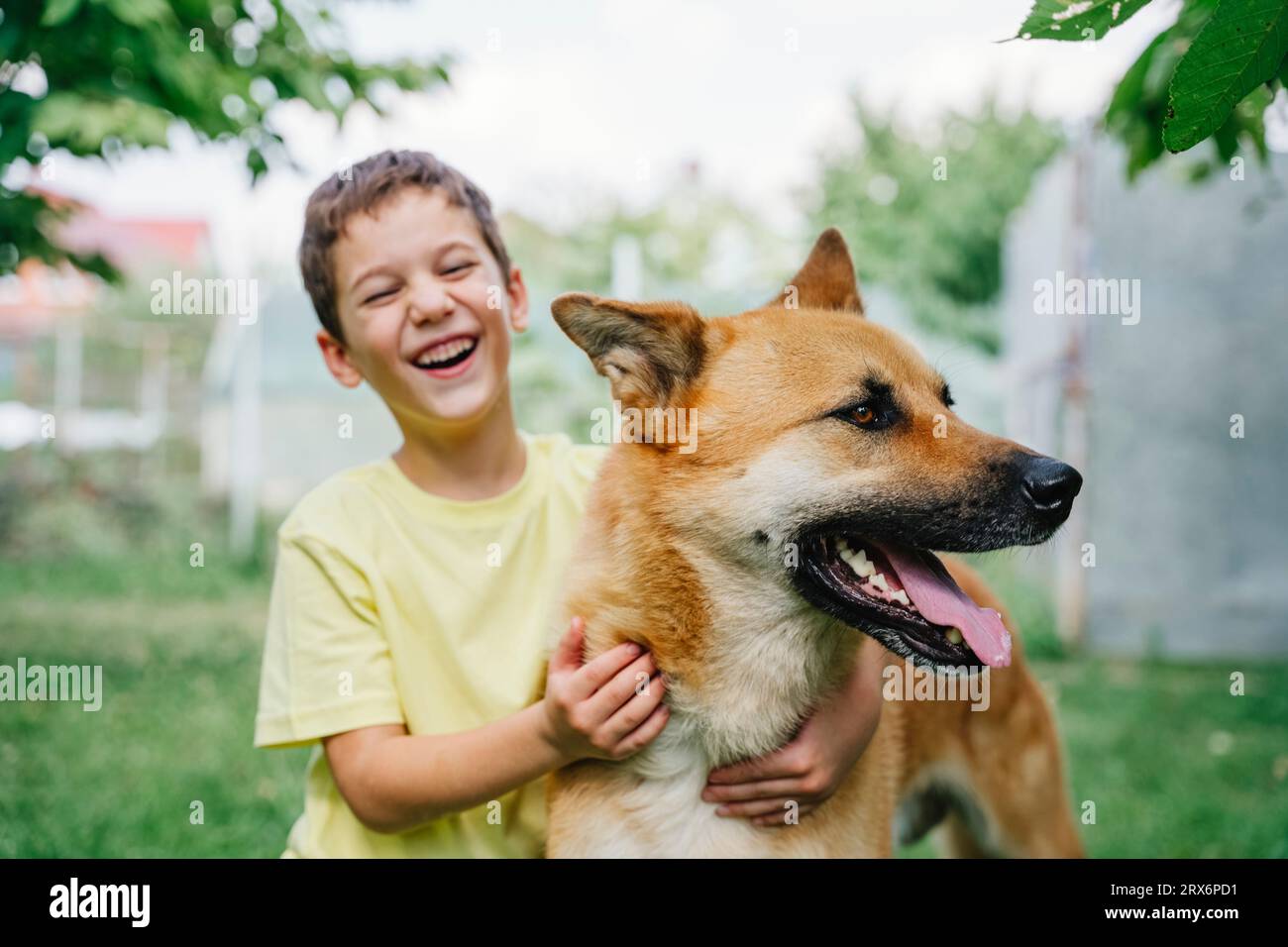 Happy boy with dog in back yard Stock Photo - Alamy