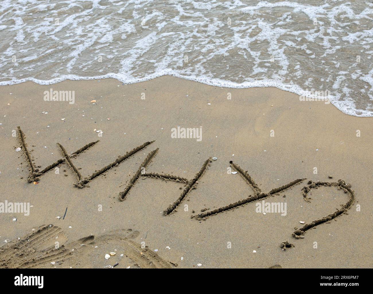 TEXT WHY with the question mark in capital letters written on the sand ...