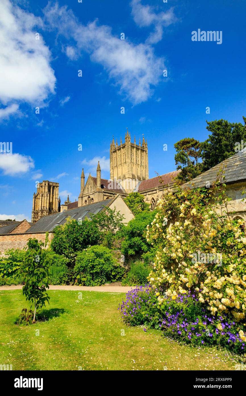 The magnificent cathedral viewed from inside the Bishop's Palace ...