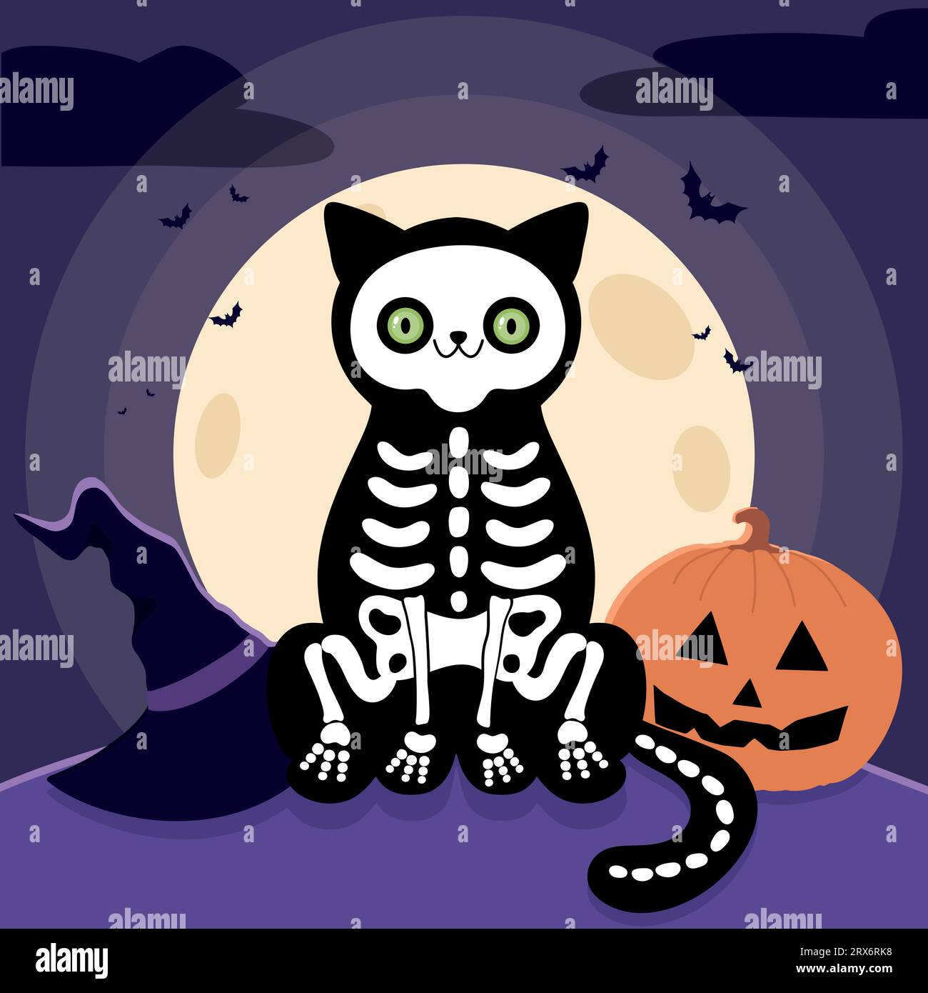 Skeleton cat with a witch hat and pumpkin in the moonlight. Halloween ...