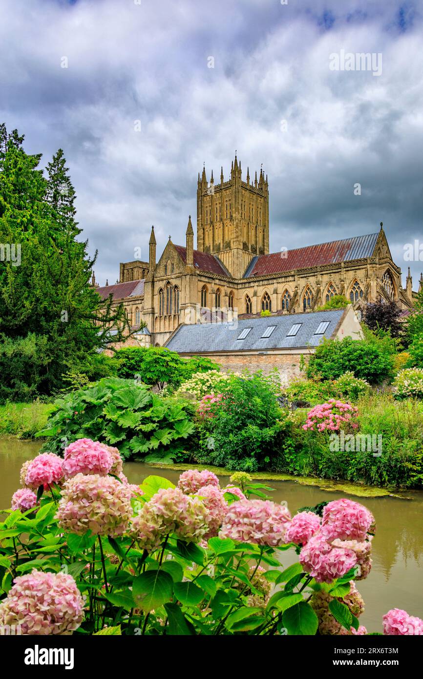 The magnificent cathedral viewed across the Bishop's Palace moat in ...