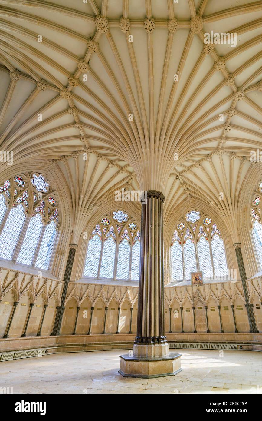 Architecture ceiling english hi-res stock photography and images - Alamy