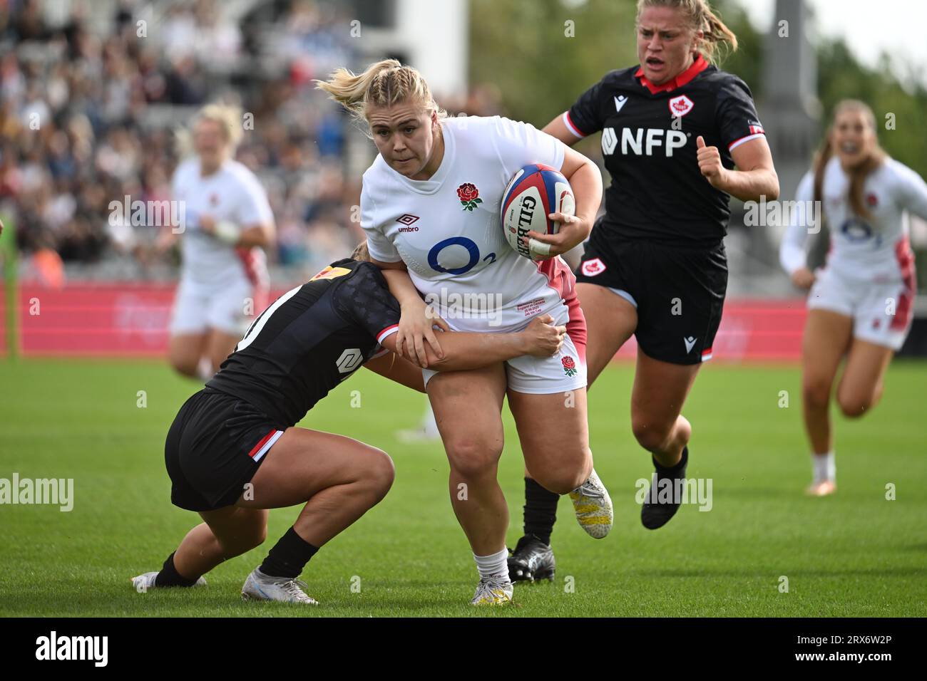 Mackenzie carson hi-res stock photography and images - Alamy