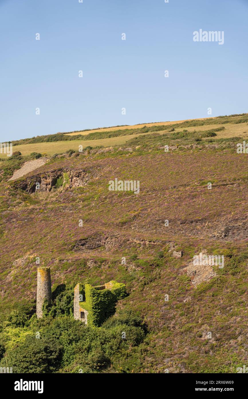 disused tin mine building at porthtowan, cornwall, uk Stock Photo - Alamy