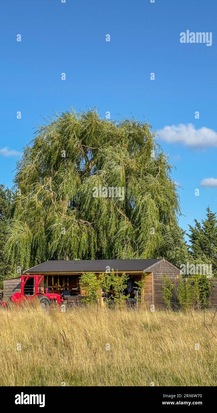 tractor, barn & tree in oxford, oxfordshire, uk Stock Photo - Alamy