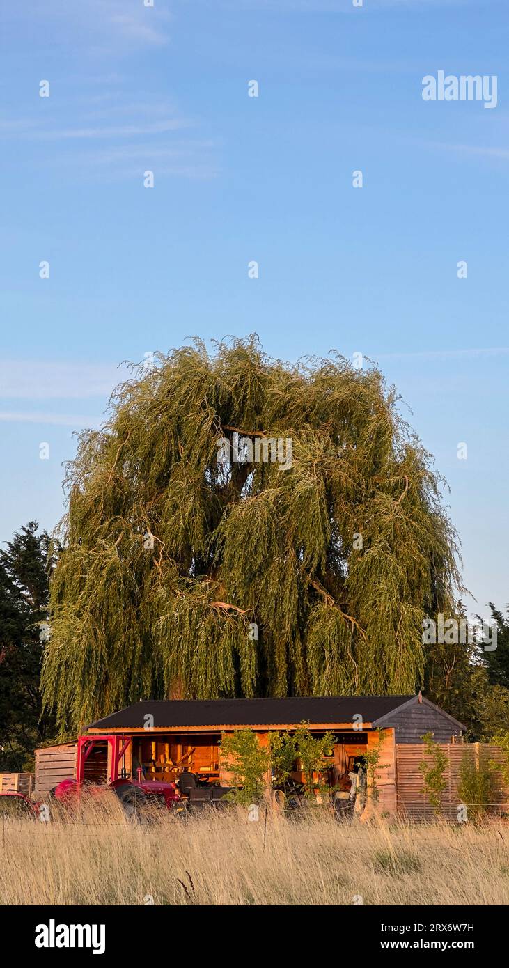 tractor, barn & tree in oxford, oxfordshire, uk Stock Photo - Alamy