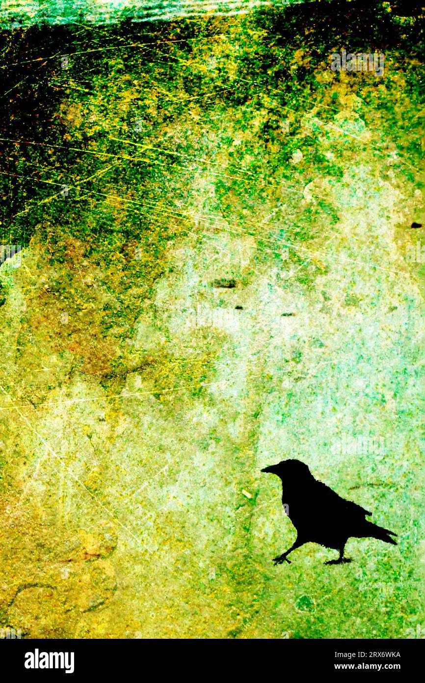 surreal, psychedelic textured image of a corvid walking on a beach ...