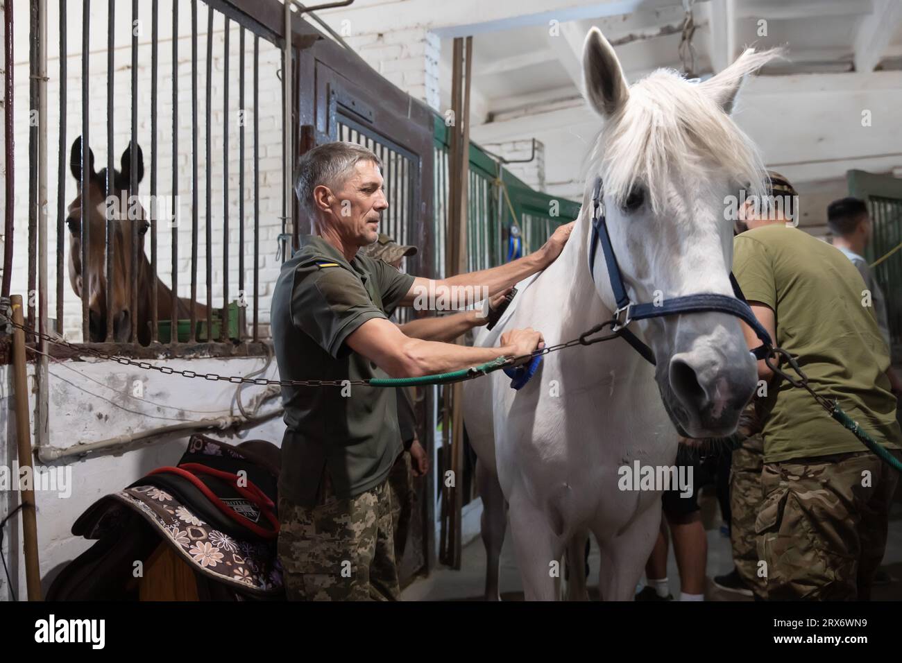 Hippotherapy session hi-res stock photography and images - Alamy