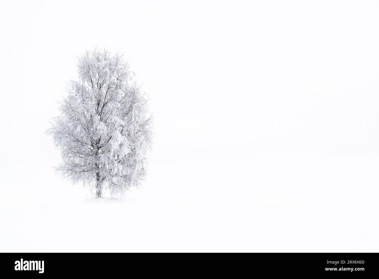 Norway snowy Cut Out Stock Images & Pictures - Alamy