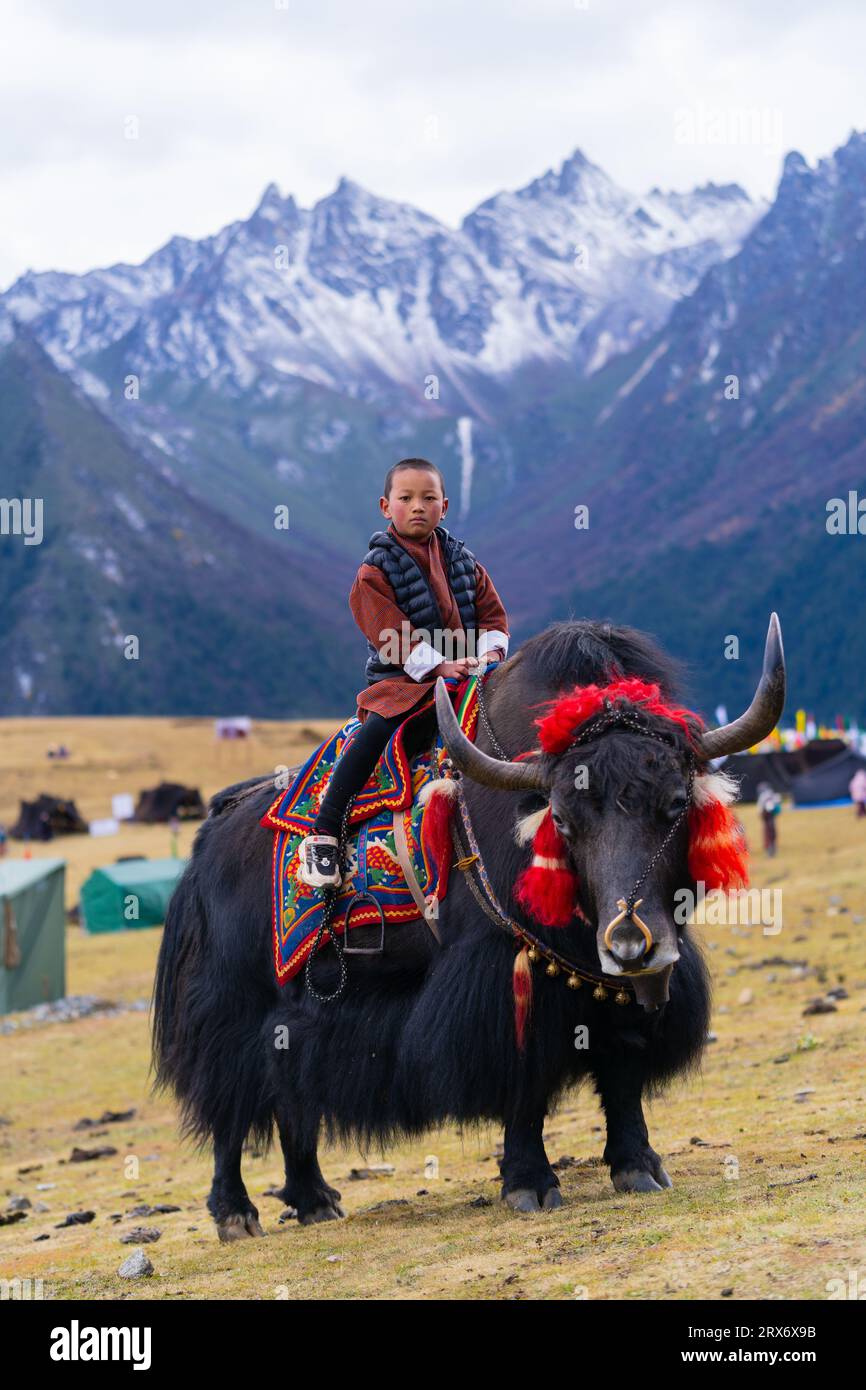 Riding on a yak Stock Photo - Alamy