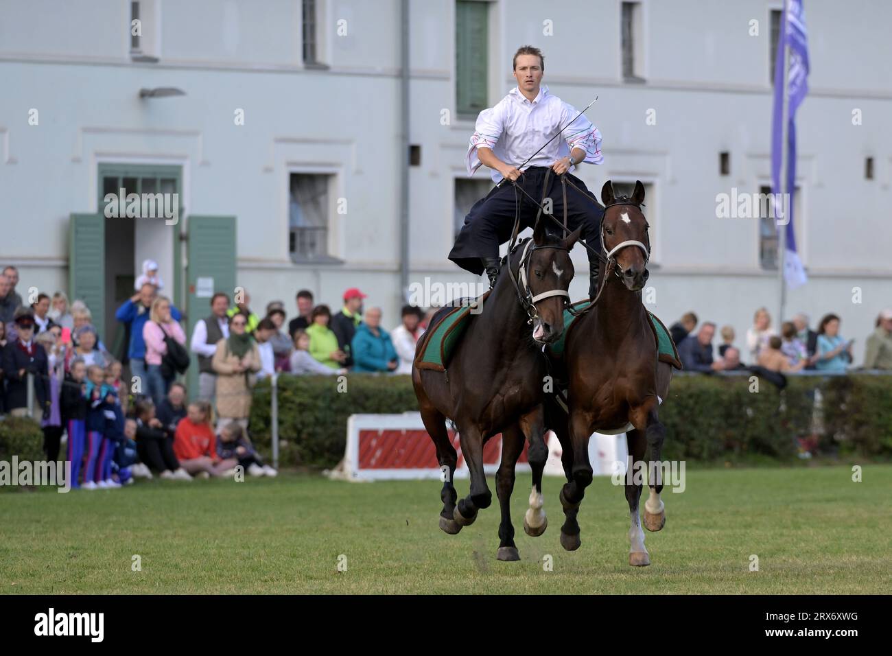 23 September 2023, Brandenburg, Neustadt (Dosse): A rider rides ...