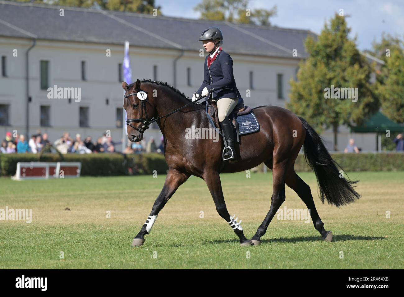 23 September 2023, Brandenburg, Neustadt (Dosse): A rider demonstrates ...