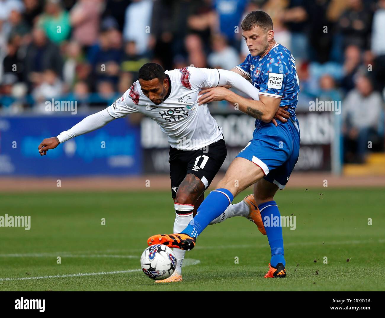 Sam lavelle carlisle hi-res stock photography and images - Alamy