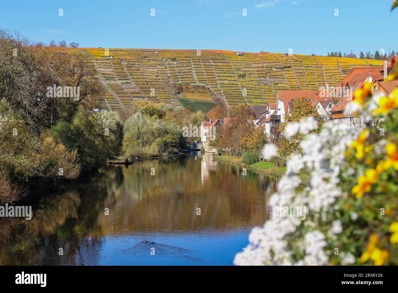 Vineyard charm hi-res stock photography and images - Alamy