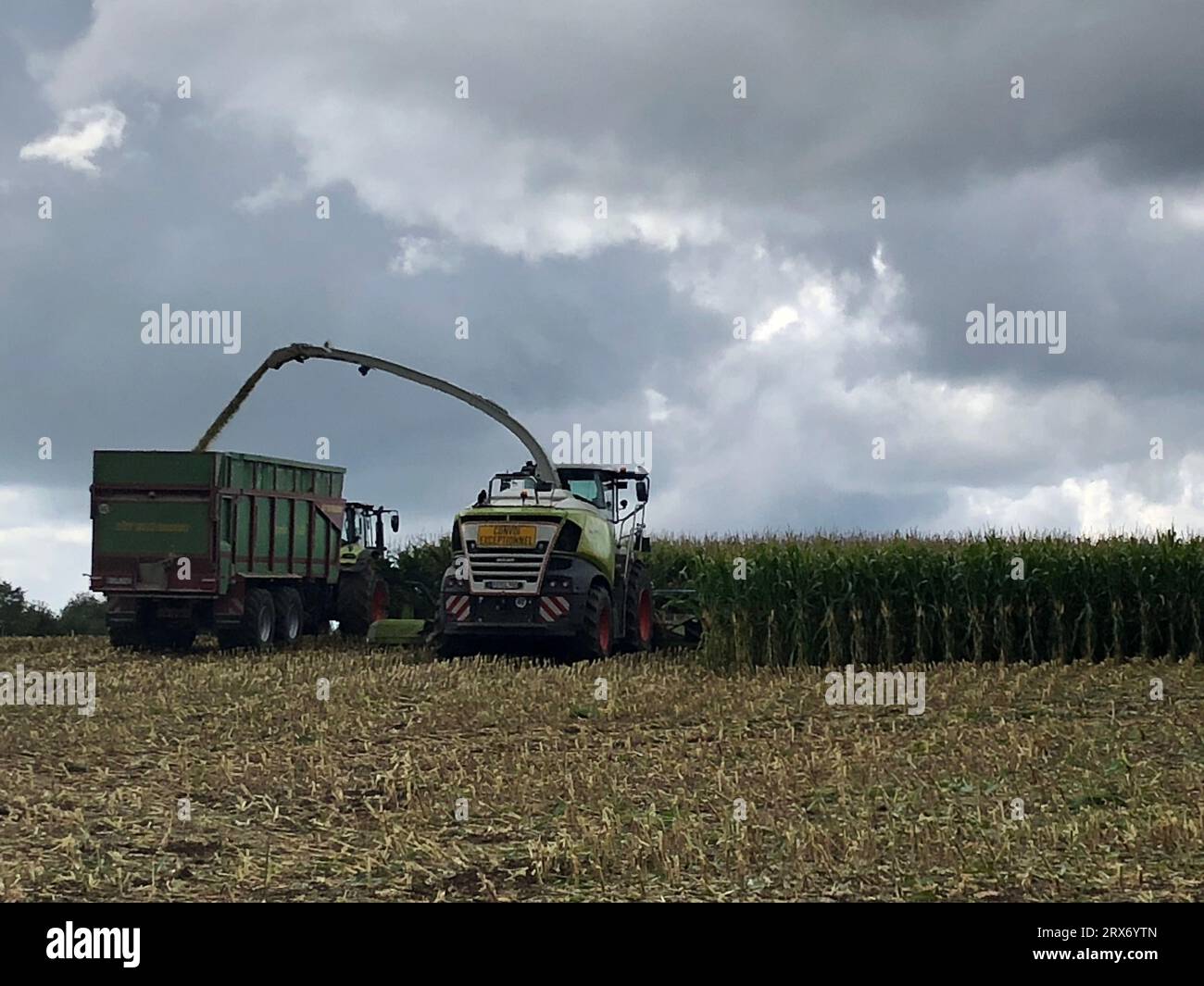 Bindlach, Germany. 23rd Sep, 2023. Dark clouds pass over a cornfield where the corn is being ...