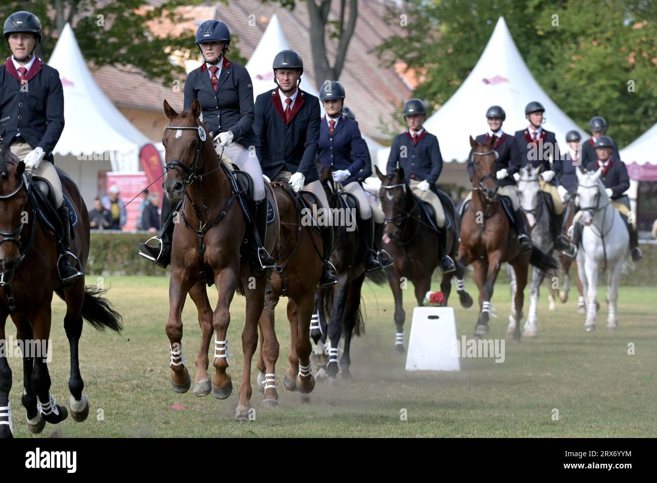 23 September 2023, Brandenburg, Neustadt (Dosse): Riders ride young ...