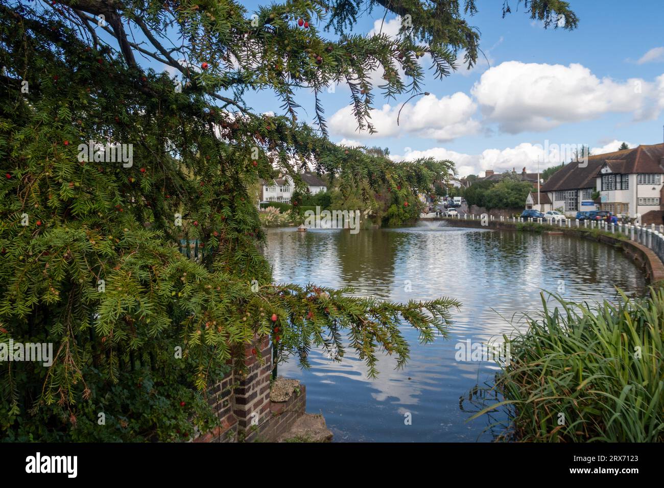 Village pond in Lindfield village in West Sussex in Uk Stock Photo - Alamy