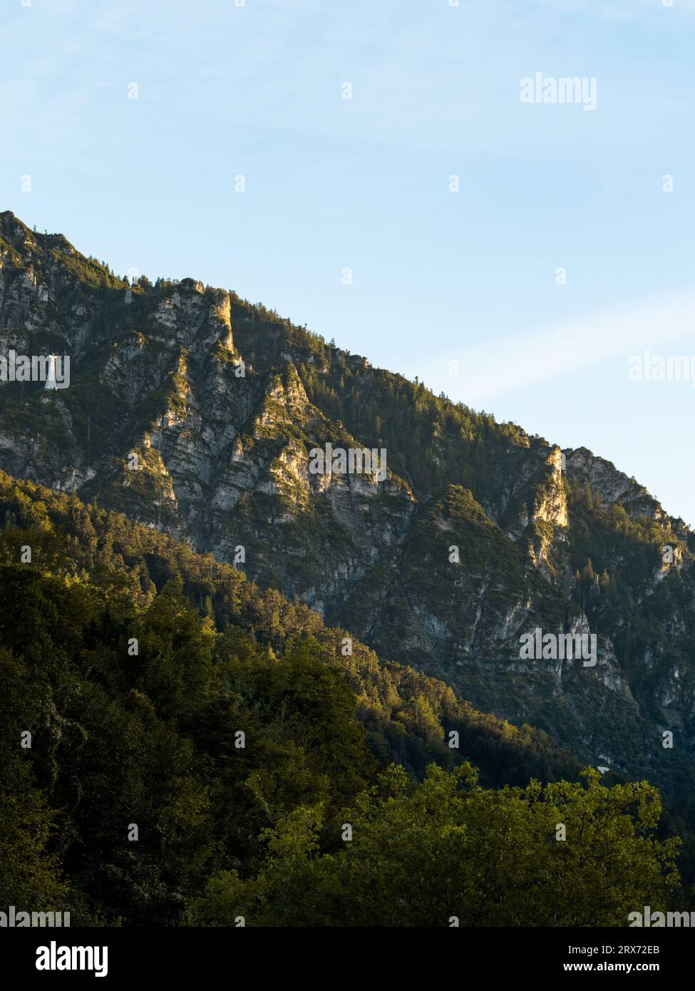 Steep mountain slope with trees and rocks. The sunset sunlight is ...