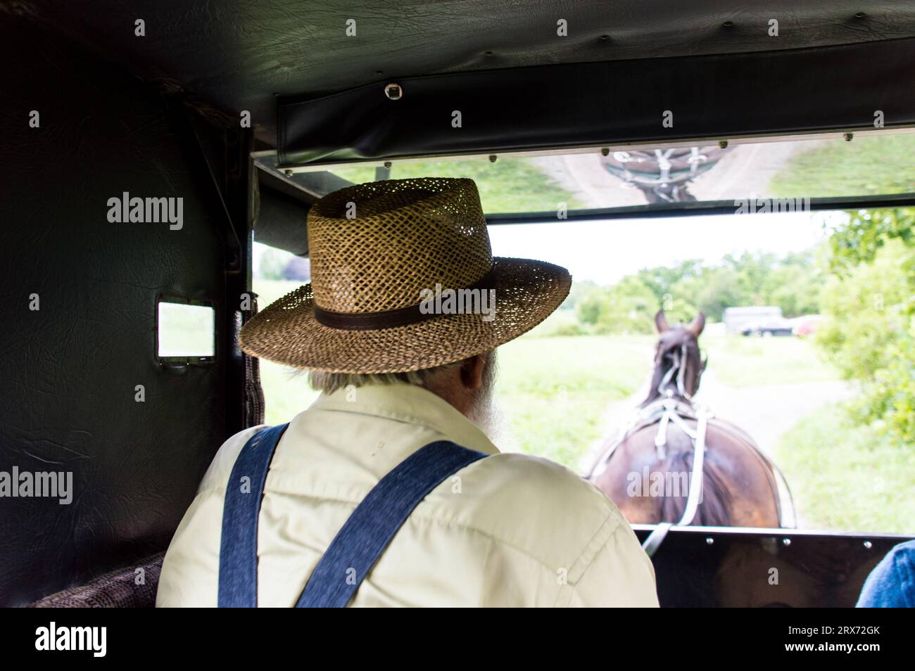 A senior Amish man with hat and braces riding amish buggy driven by ...