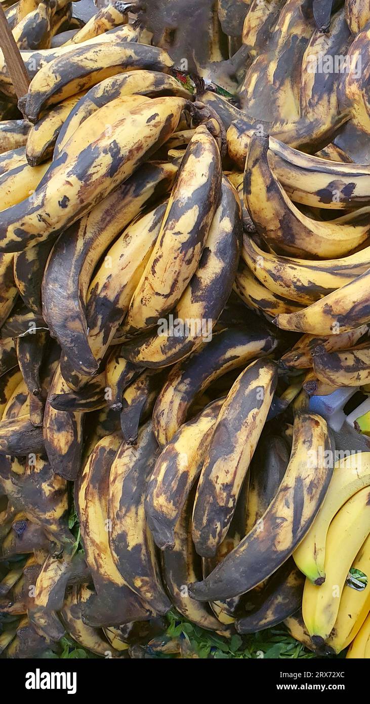 Vertical image of plantains on a surface Stock Photo - Alamy