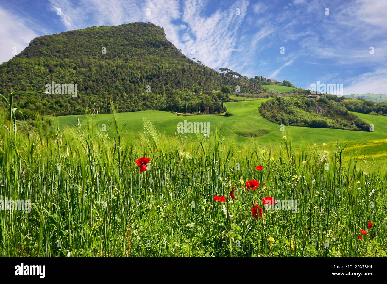 Sunny italian landscape hi-res stock photography and images - Alamy