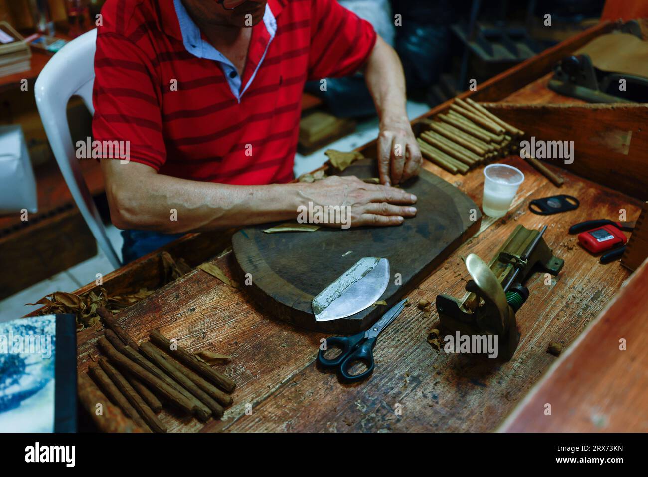 Process of making traditional cigars from tobacco leaves with hands ...