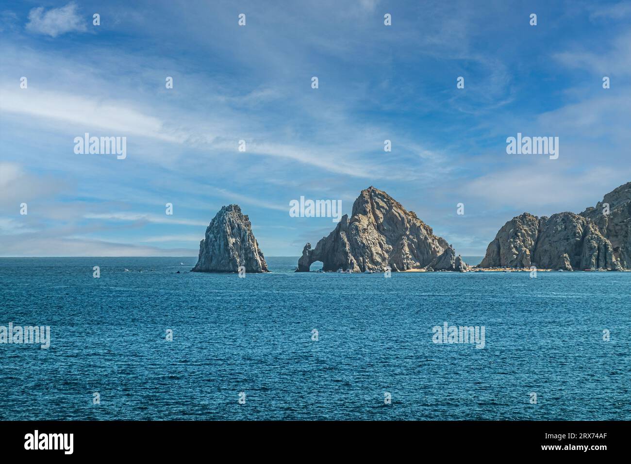 Lobos marinos del cabo hi-res stock photography and images - Alamy