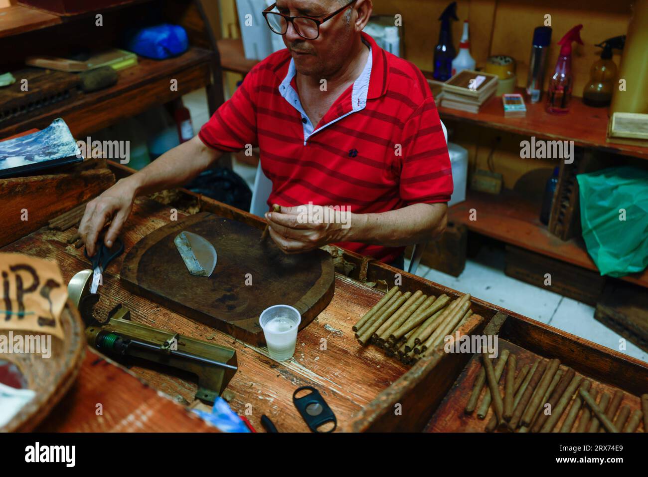 Process of making traditional cigars from tobacco leaves with hands ...