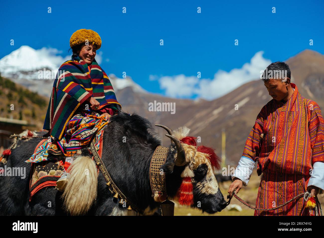 Riding on a yak Stock Photo - Alamy