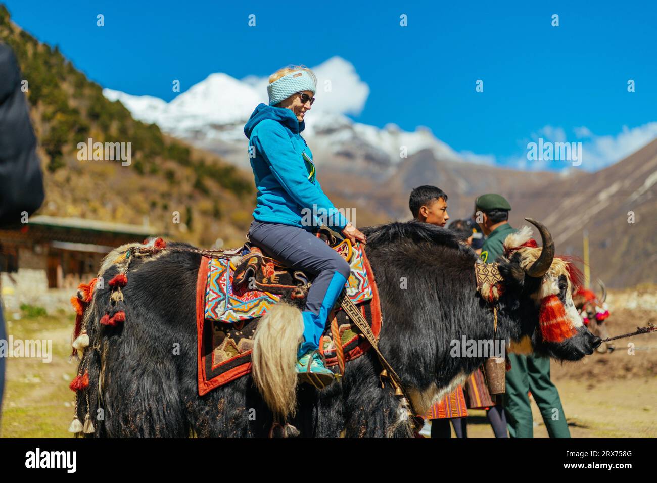 Yak festival hi-res stock photography and images - Alamy