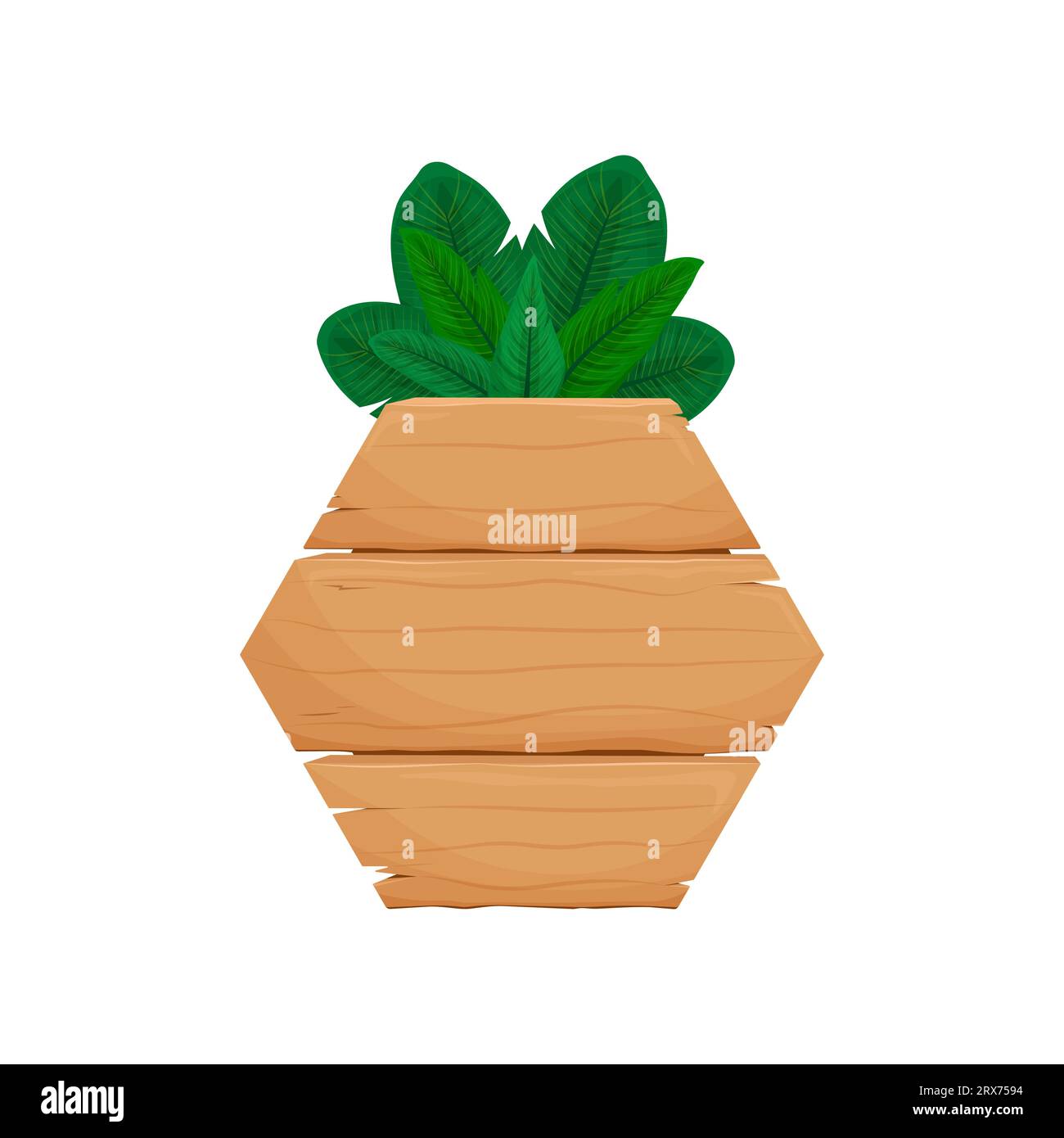 Wooden plank banner with tropical leaves, honeycomb shape. Wooden ...