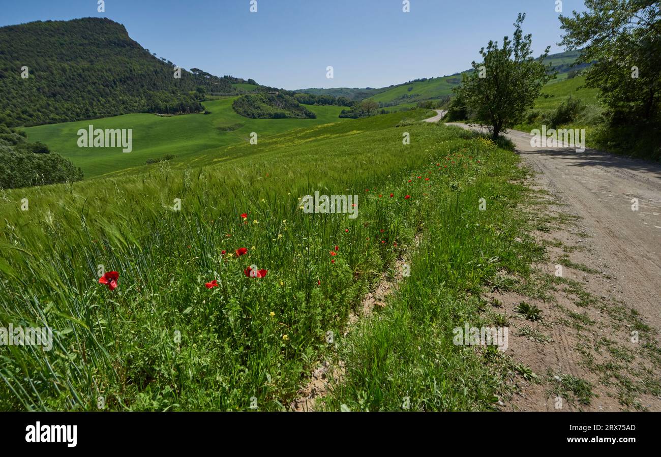 Sunny italian landscape hi-res stock photography and images - Alamy