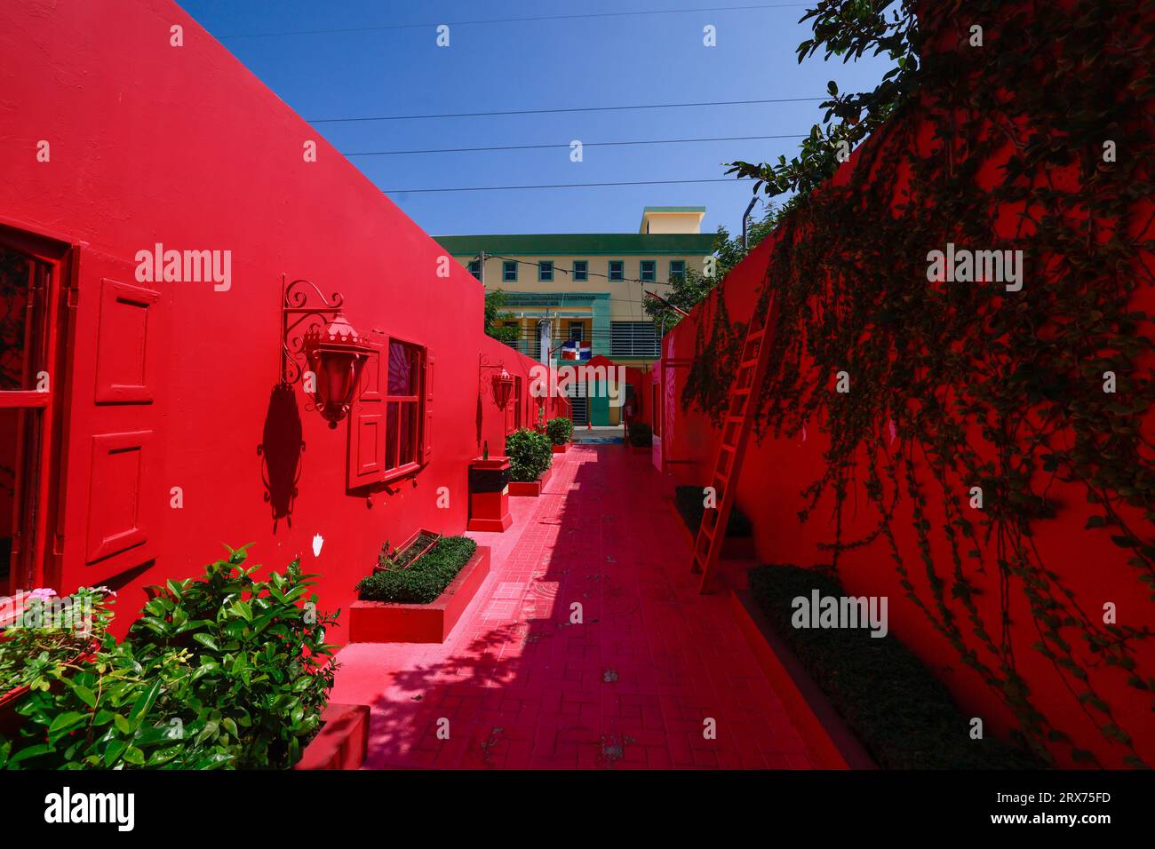Pink street with green plants, windows, street lams, decorative ...