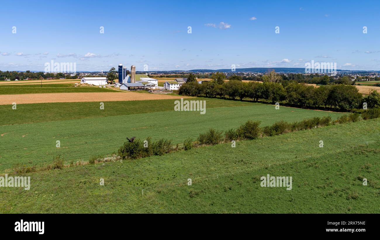 An Aerial View of a Patchwork of Fields of Crops Growing, and a Farm ...
